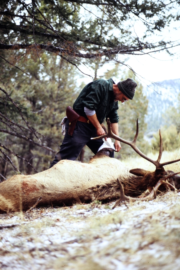 Elk, Mule Deer, Bear & Wolf Hunting Blog | Wild Idaho Outfitters